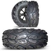 Massimo Tires